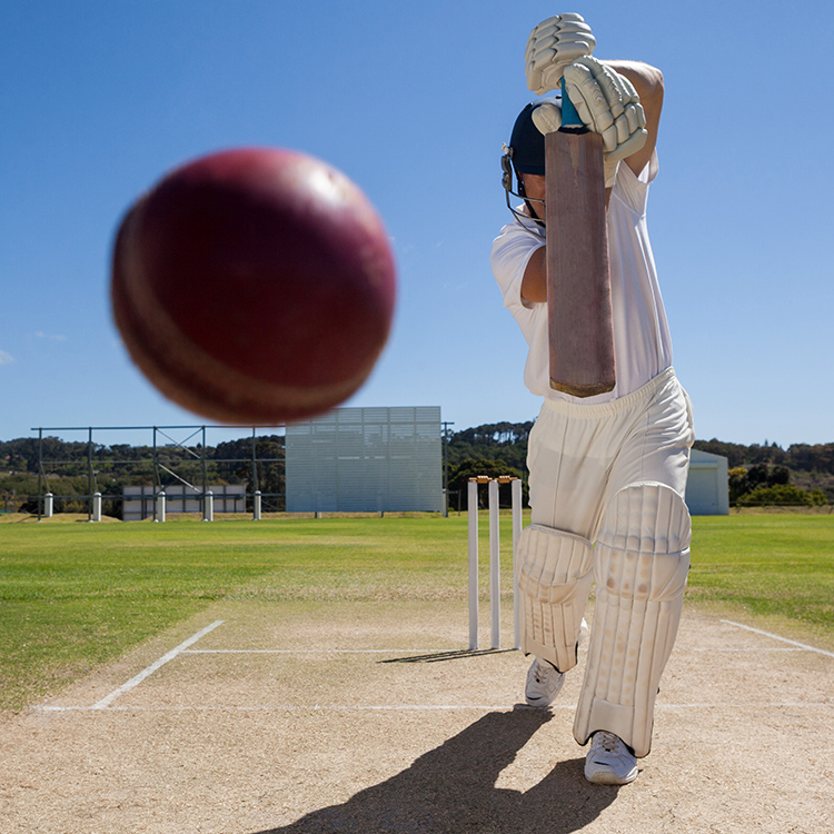 Cricket Equipment UK | Top Brands & Gear | VKS